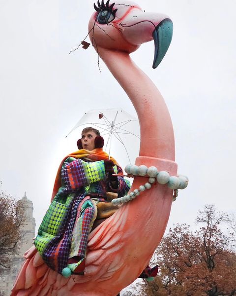 CJR on Instagram: "🦩The inimitable Cole Escola bestriding a giant ...